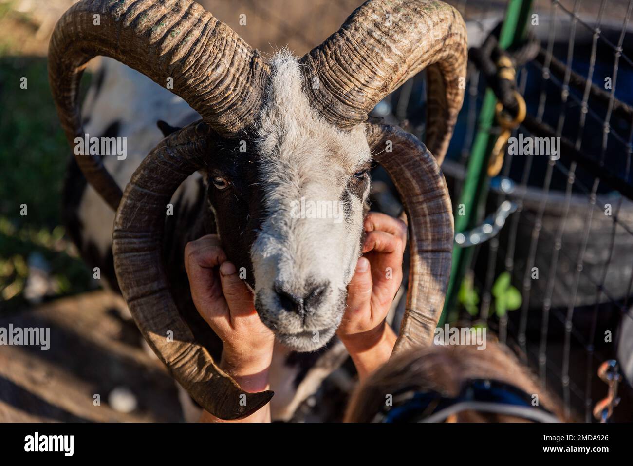 Karen Osler, a park ranger with U.S. Army Corps of Engineers Pittsburgh ...