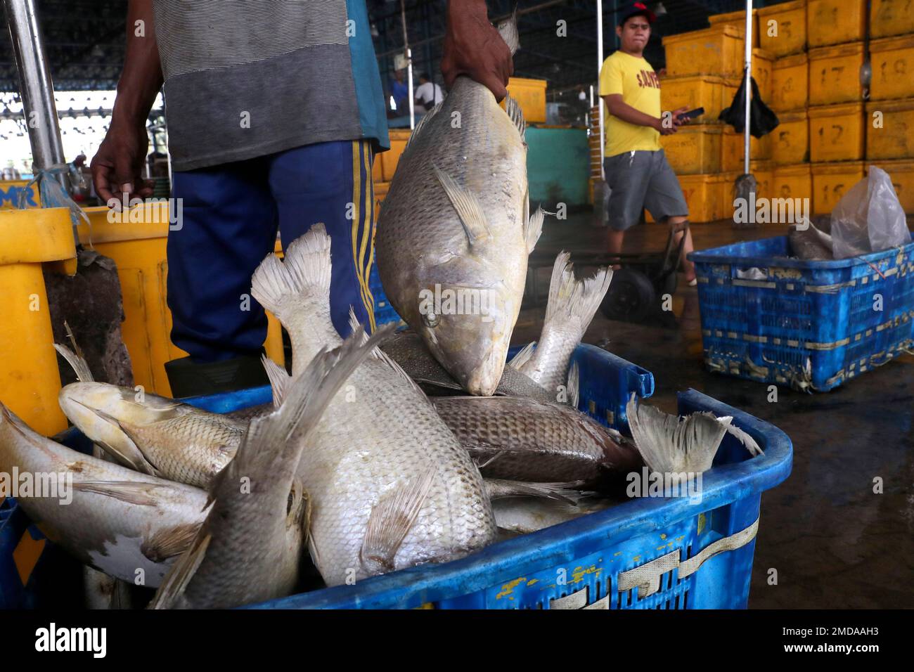Workers sort fish at a fishing port in Jakarta, Indonesia,Thursday, Oct ...