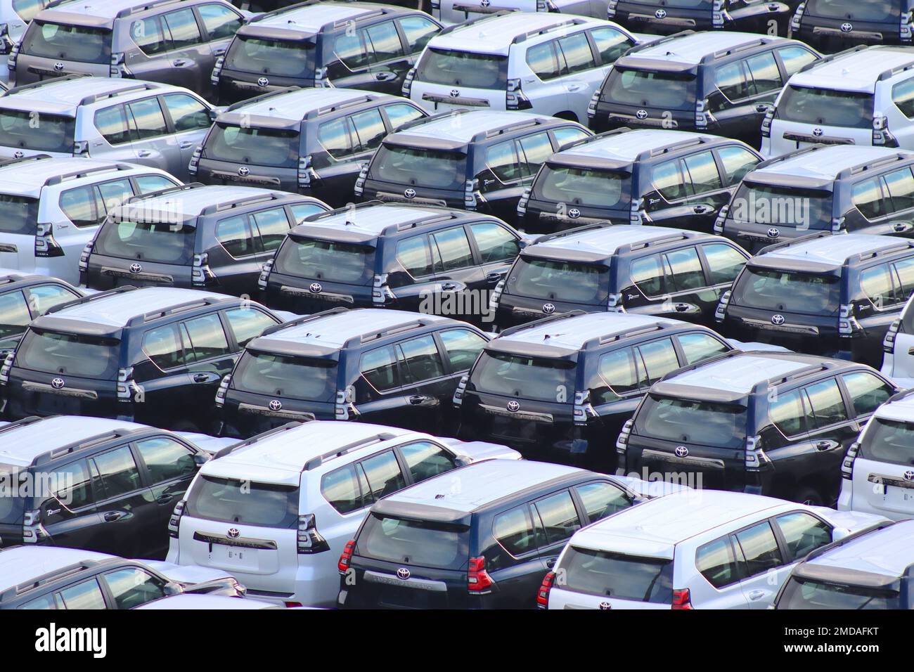 Visual gridlock made up of over six hundred Toyota Land Cruiser Prado ...