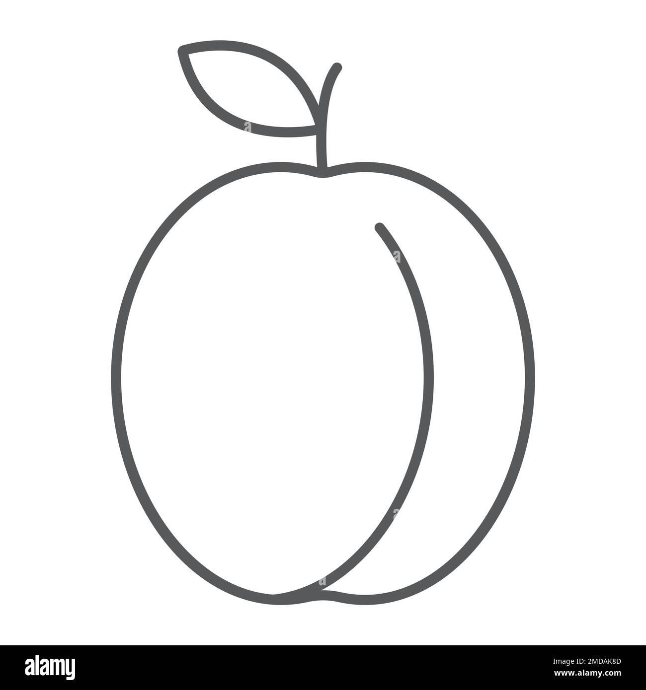 Plum thin line icon, fruit and vitamin, diet sign, vector graphics, a ...