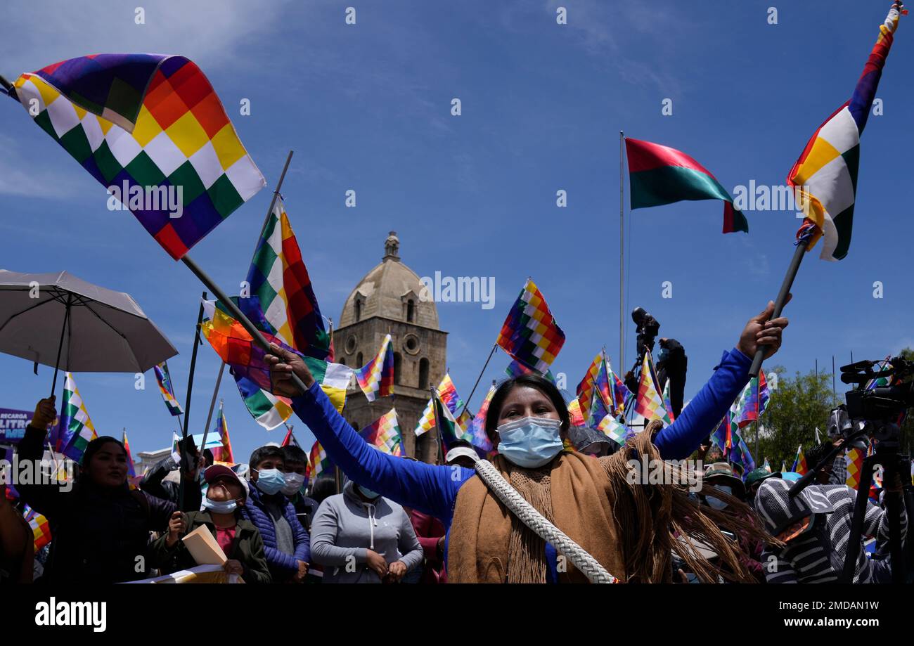 Government supporters hold Wiphala flags during a rally in favor of ...