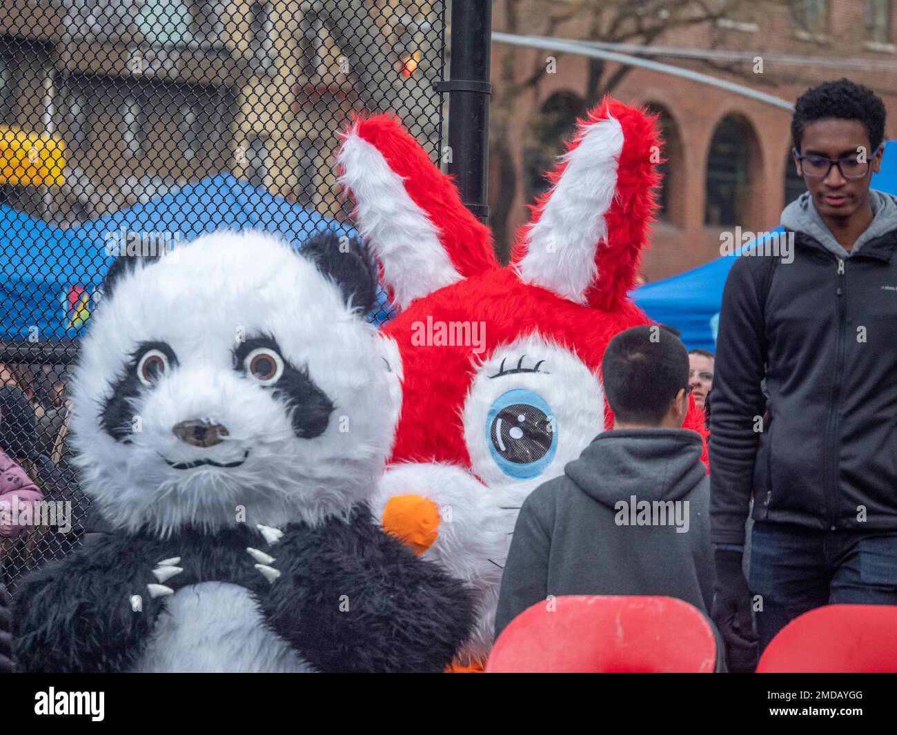 New York, New York, USA. 22nd Jan, 2023. Panda and Rabbit at the NYC ...