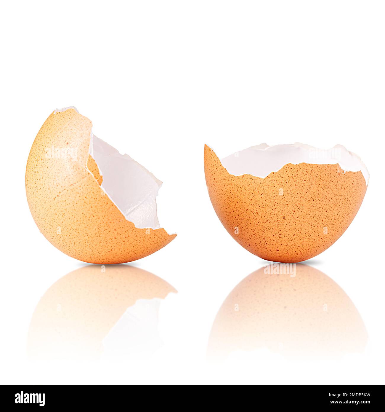 Egg shell isolated on white. Broken egg shell isolated on white Stock Photo - Alamy
