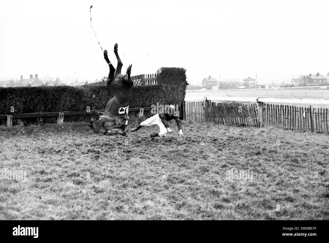 Jockey C. Young makes a four point landing after parting company from ...