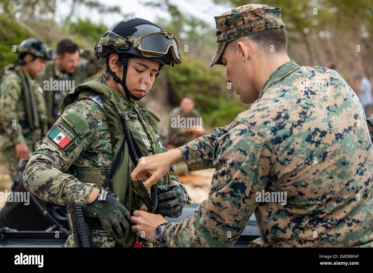 Mexican naval infantry corps hi-res stock photography and images - Alamy