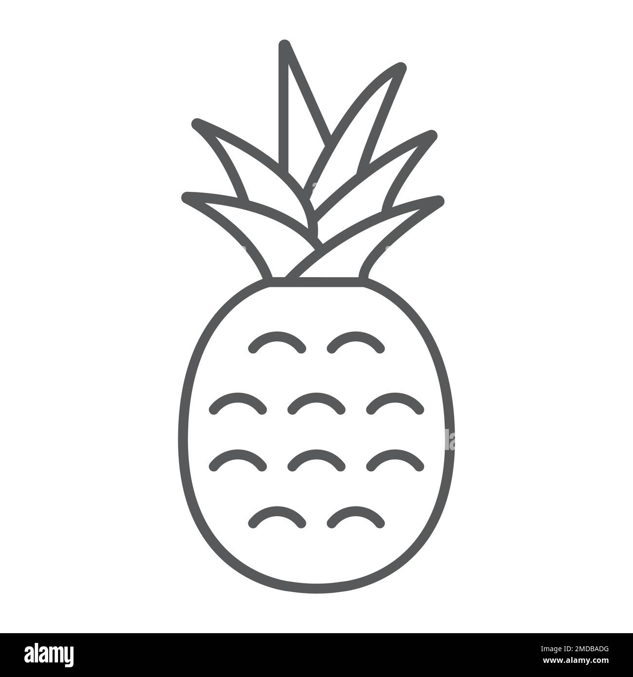 Pineapple thin line icon, fruit and ananas, tropical sign, vector ...