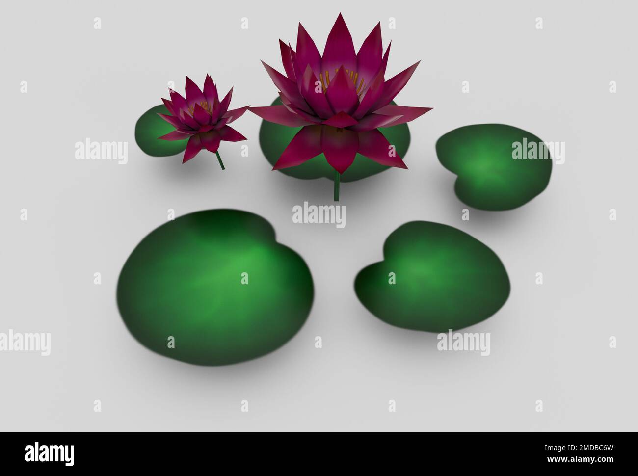 lotus plant 3d illustration minimal rendering on white background Stock ...