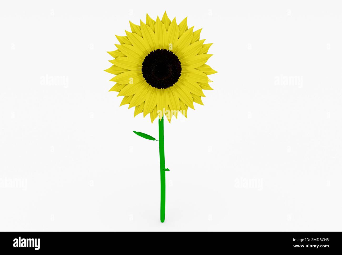 beautiful sunflower 3d illustration minimal rendering on white ...