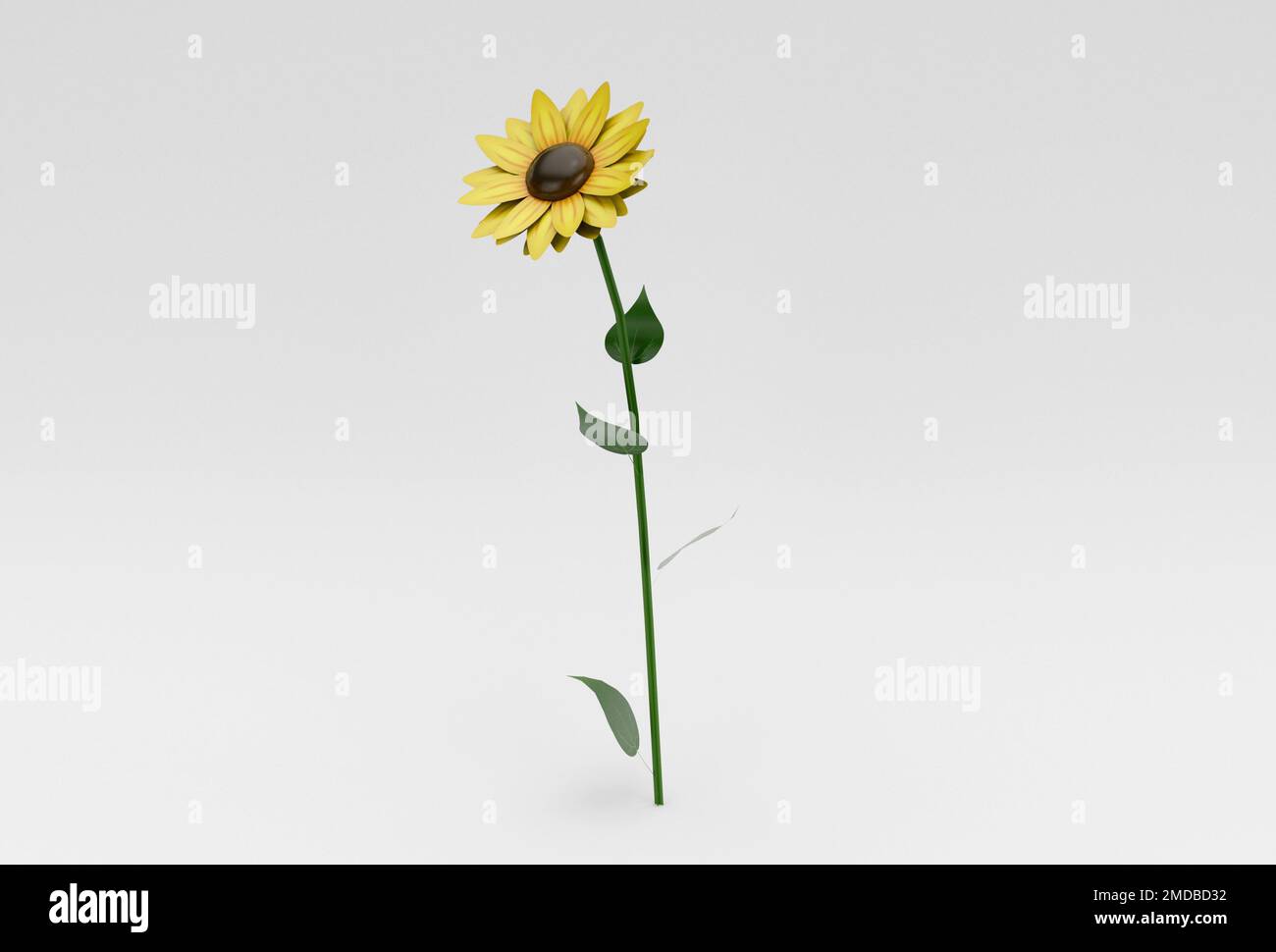 beautiful sunflower 3d illustration minimal rendering on white ...