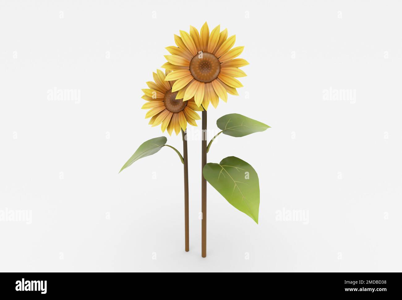beautiful sunflower 3d illustration minimal rendering on white ...