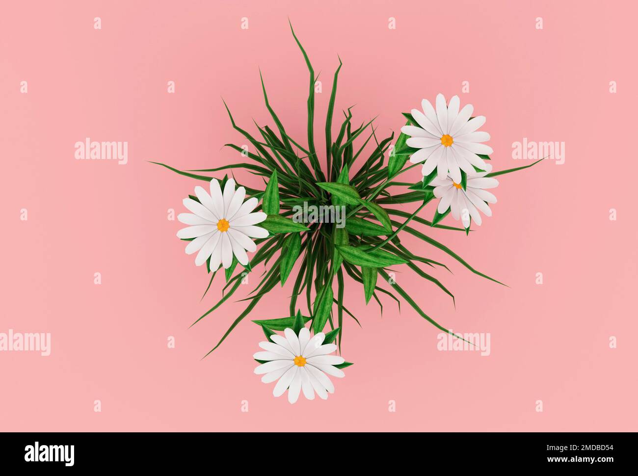 beautiful flower 3d illustration minimal rendering on Wax Flower ...