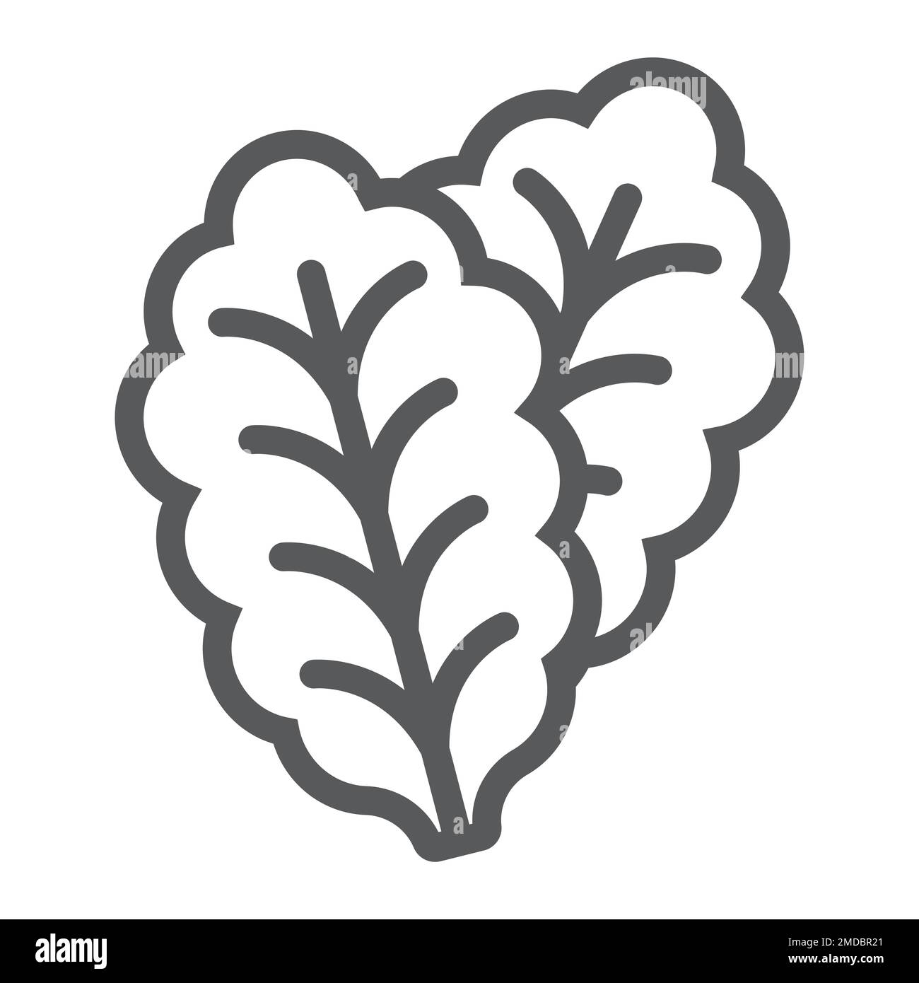 Leaf Lettuce line icon, vegetable and diet, vegetarian sign, vector ...