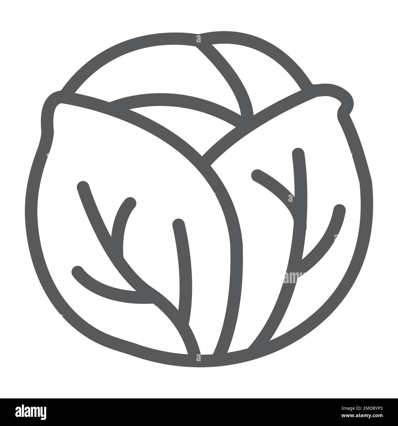 Cabbage line icon, vegetable and diet, vegetarian sign, vector graphics ...