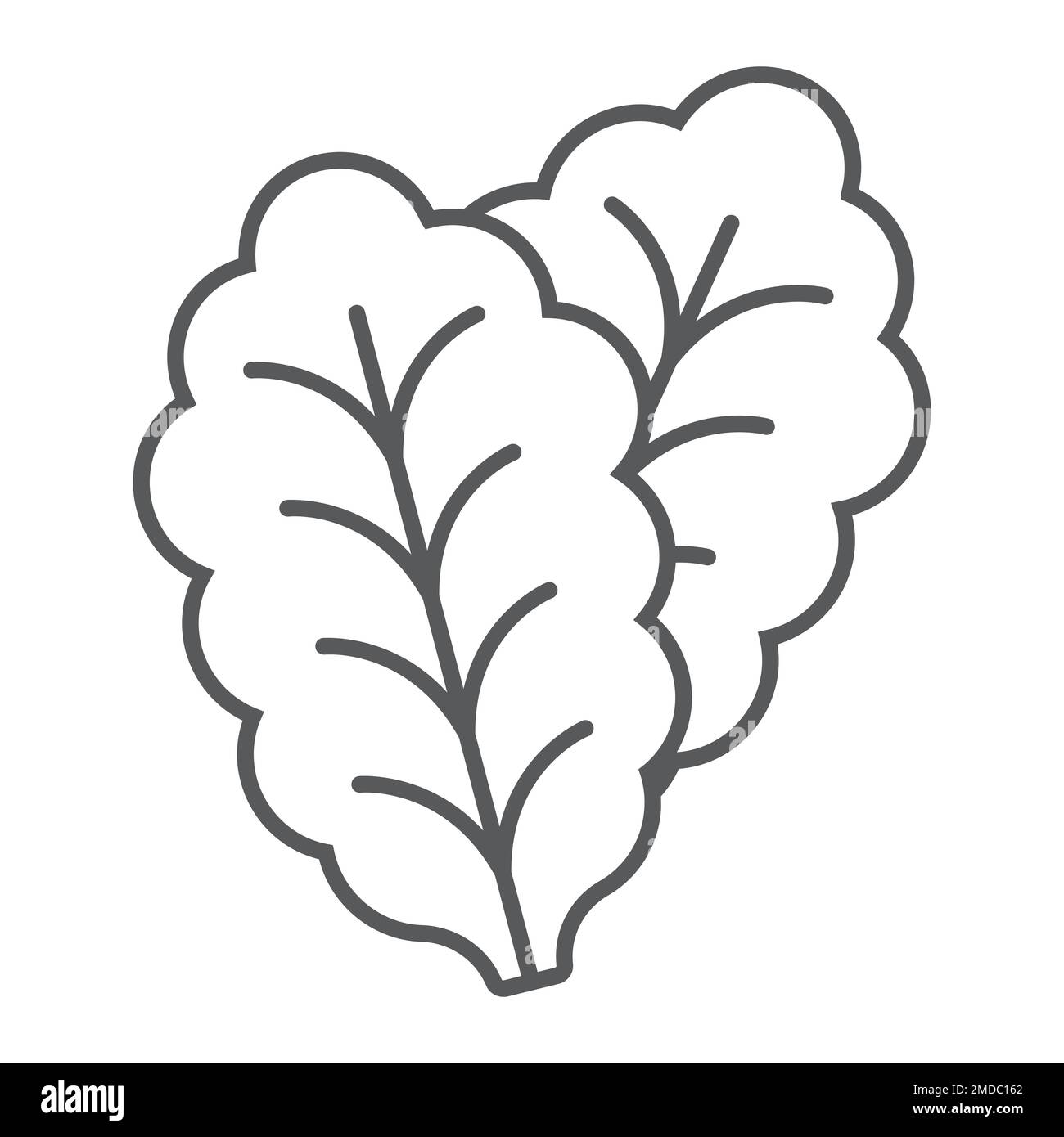 Leaf Lettuce thin line icon, vegetable and diet, vegetarian sign ...
