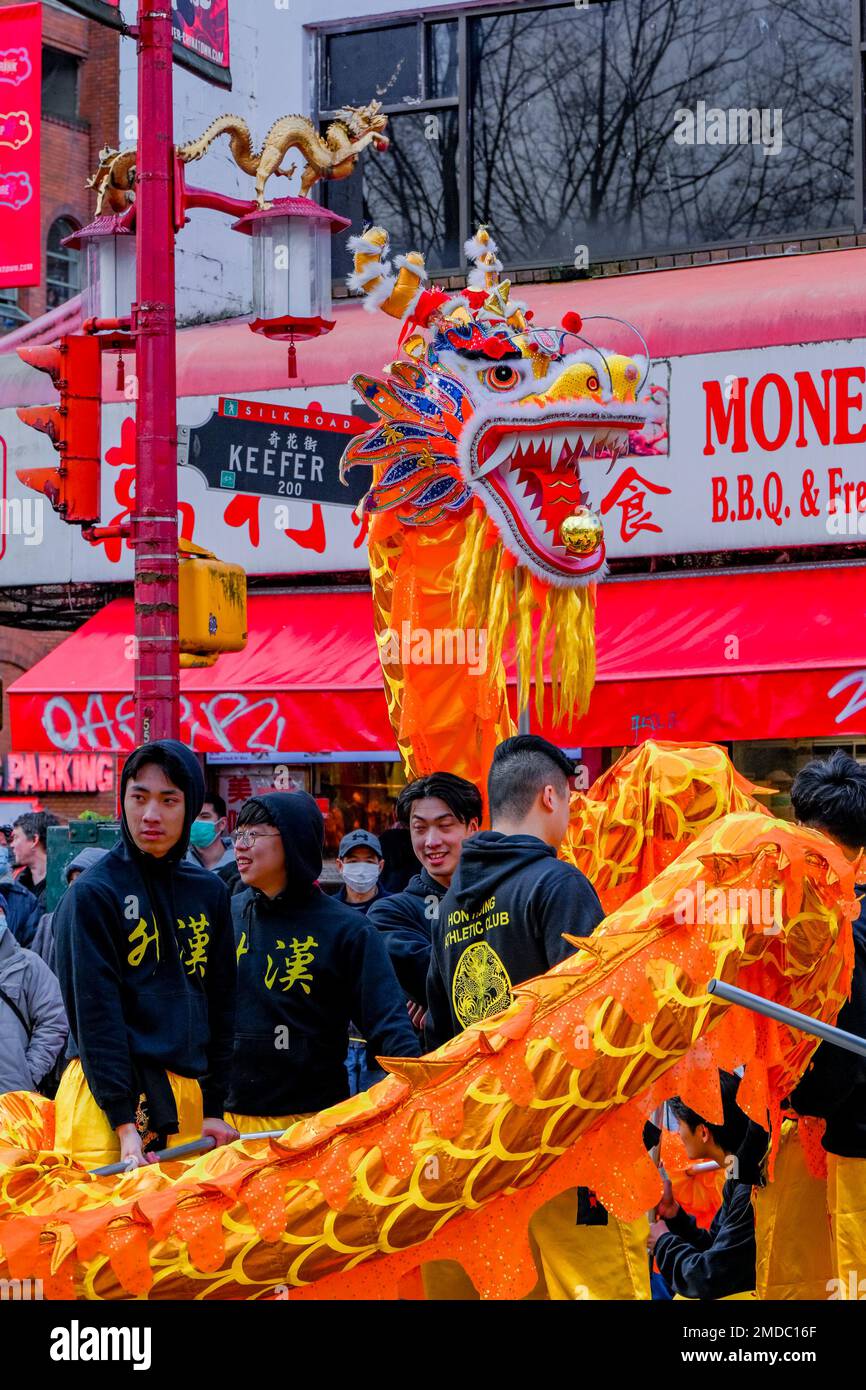 Dragon dance team, Chinese Lunar New Year Parade, Chinatown, Vancouver ...