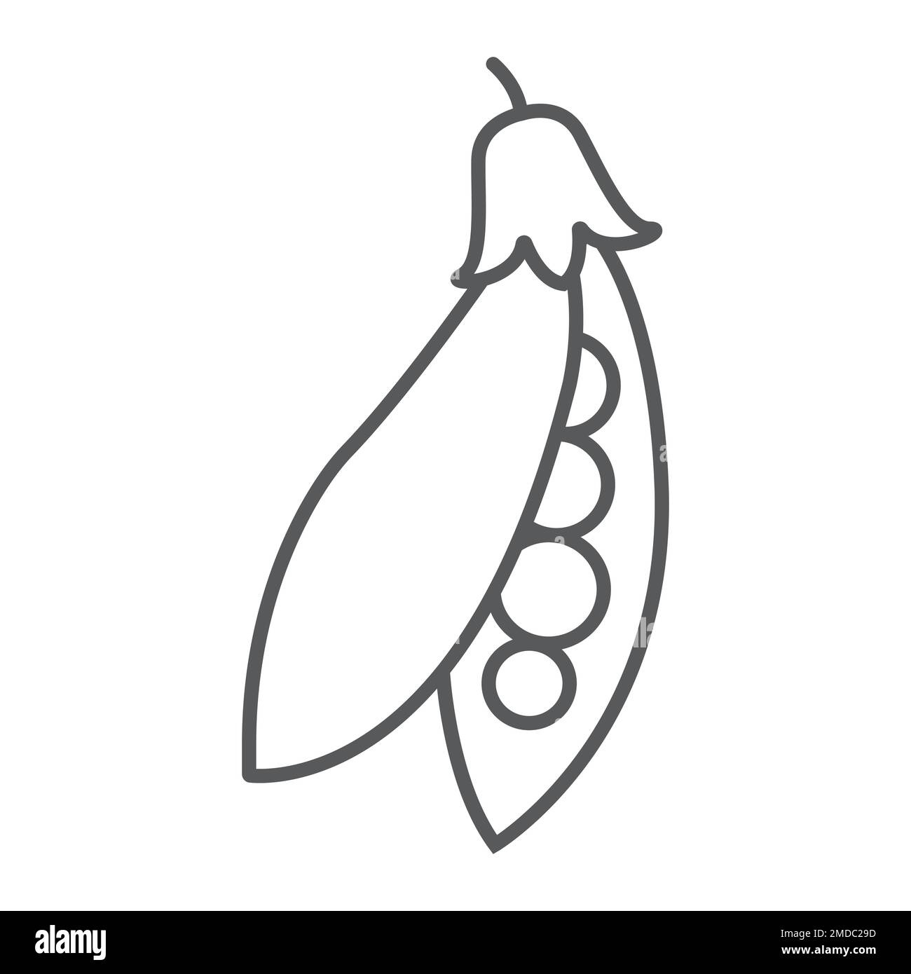 Pea pod thin line icon, vegetable and diet, peas sign, vector graphics ...