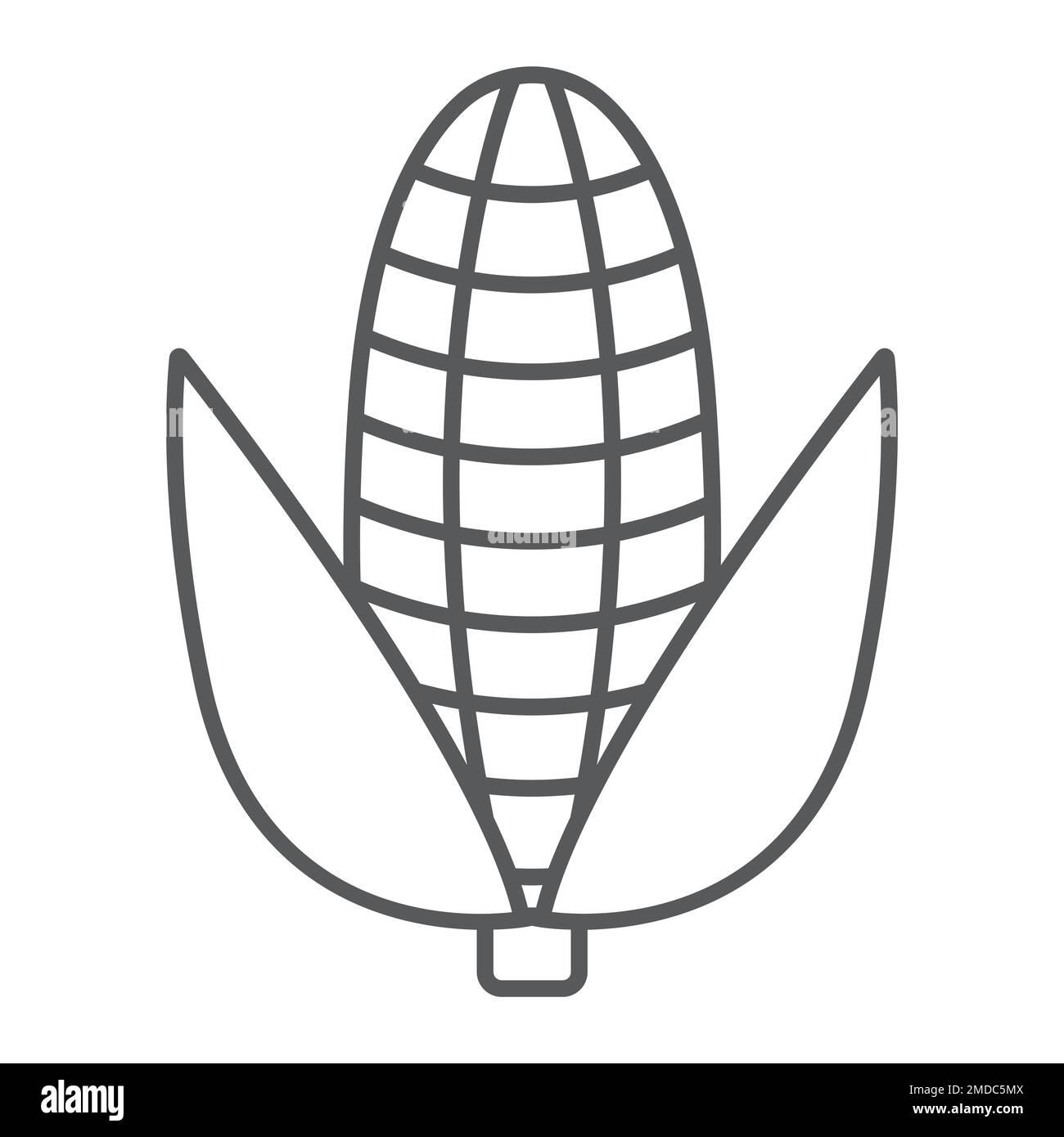 Native corn maize Cut Out Stock Images & Pictures - Alamy