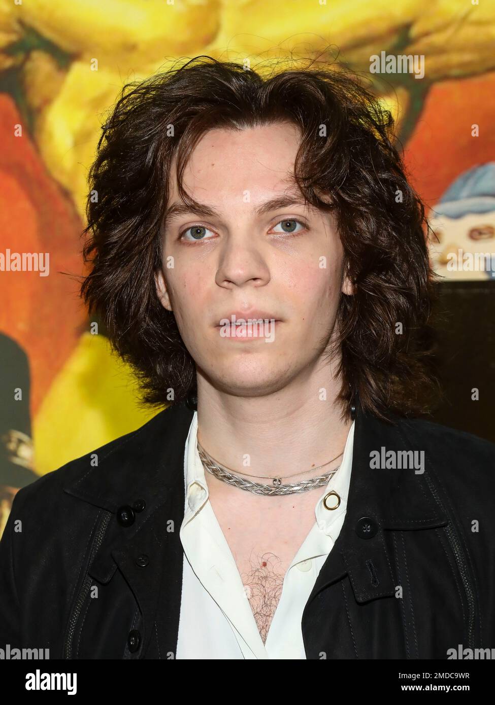 Actor Nicholas Alexander attends the premiere of the Amazon Studio film ...