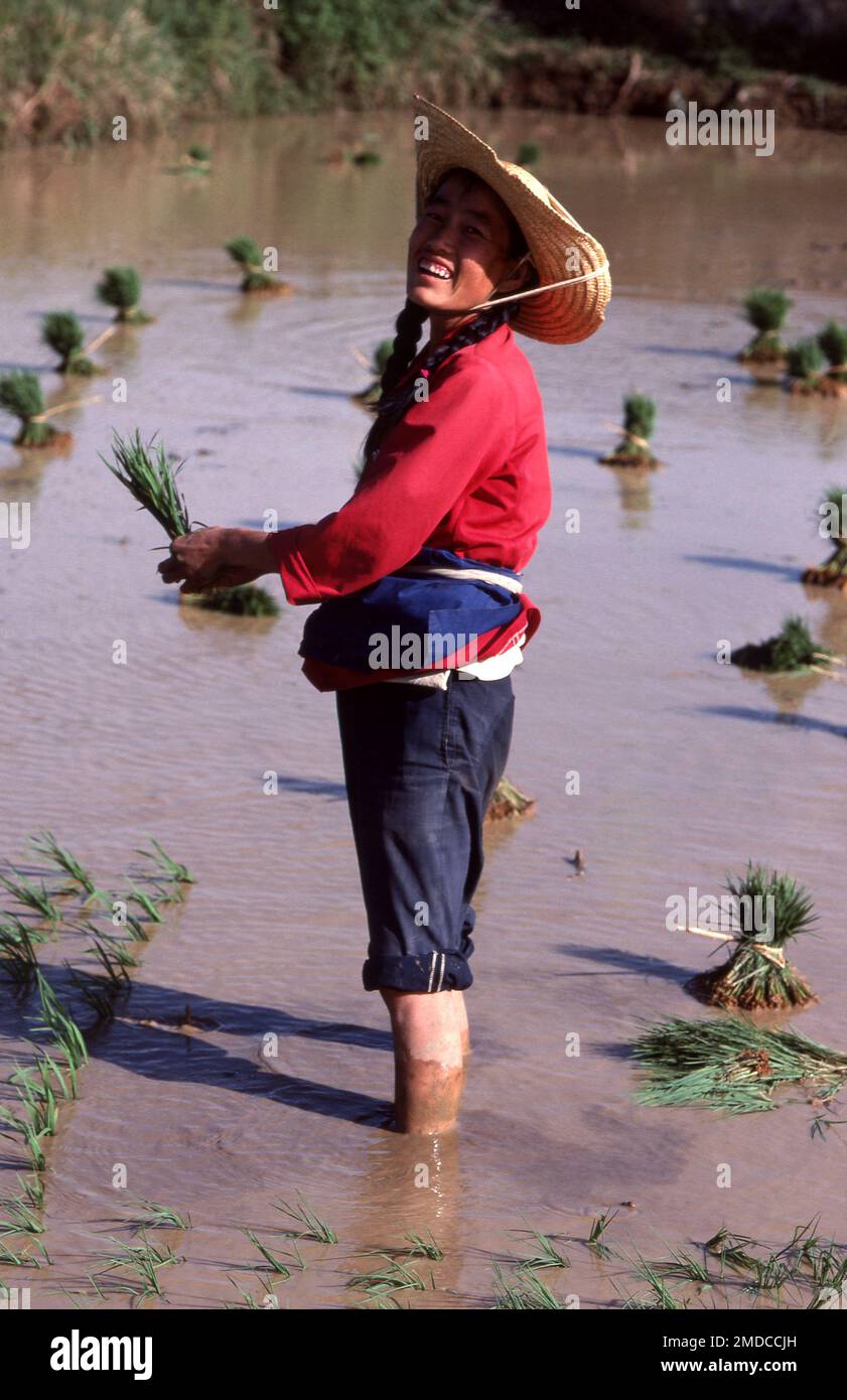 Ping ziang county hi-res stock photography and images - Alamy