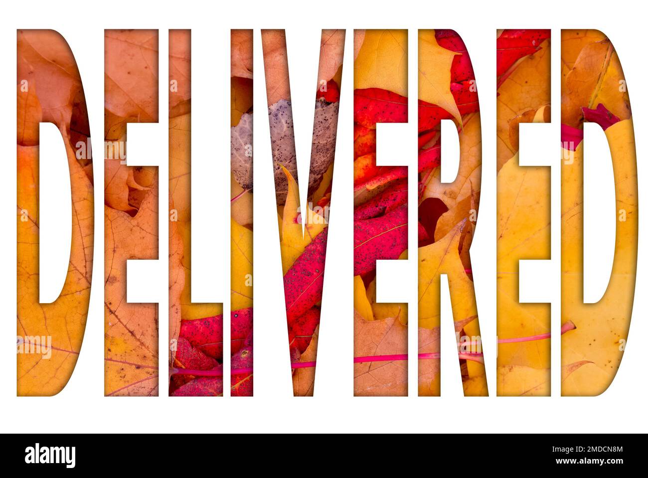 Autumn leaves, objects with Delivered text. Natural patterns, color ...