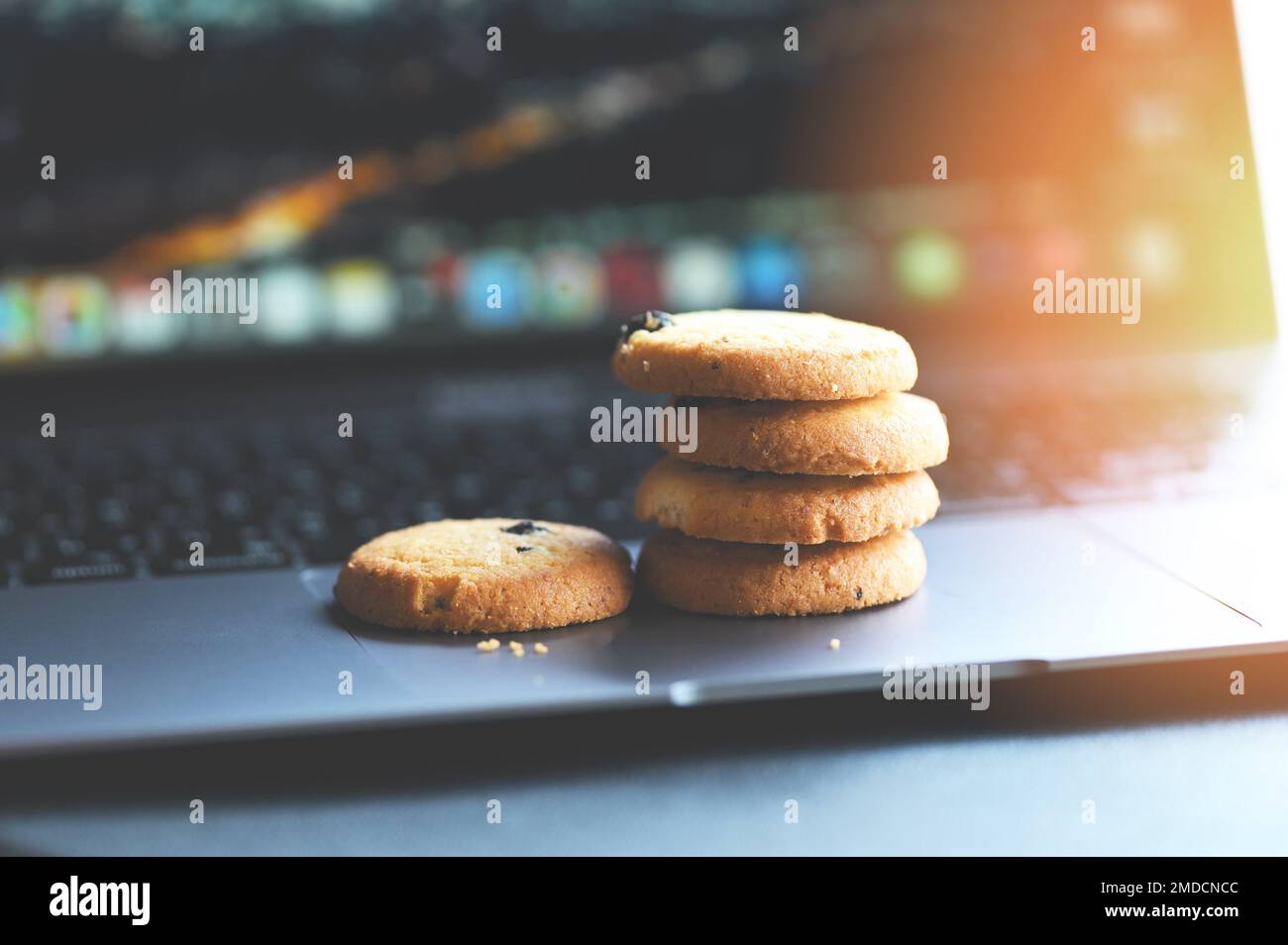 internet cookies internet browser cookies concept, mini cookies on ...