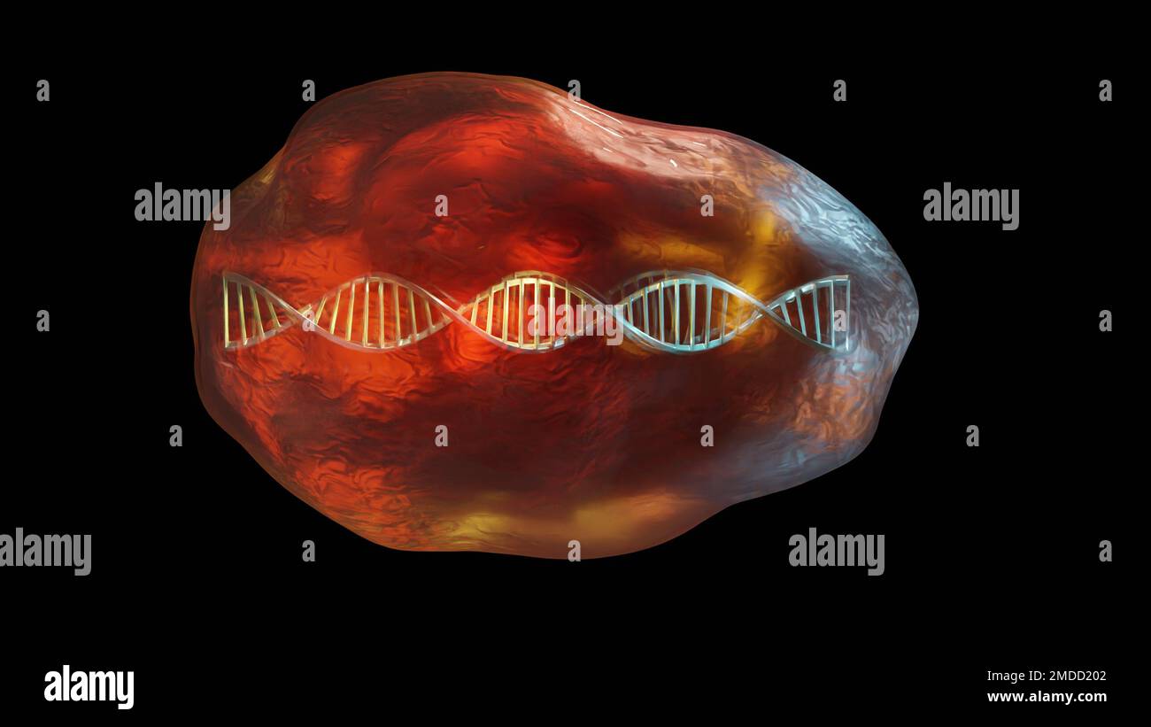 DNA preserved in amber. 3d render illustration Stock Photo - Alamy