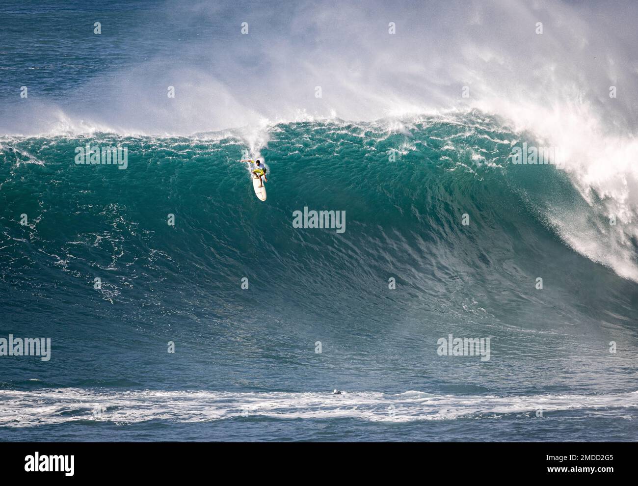 Haleiwa, HI, USA. 22nd Jan, 2023. Luke Shepardson wins the 2023 Eddie ...