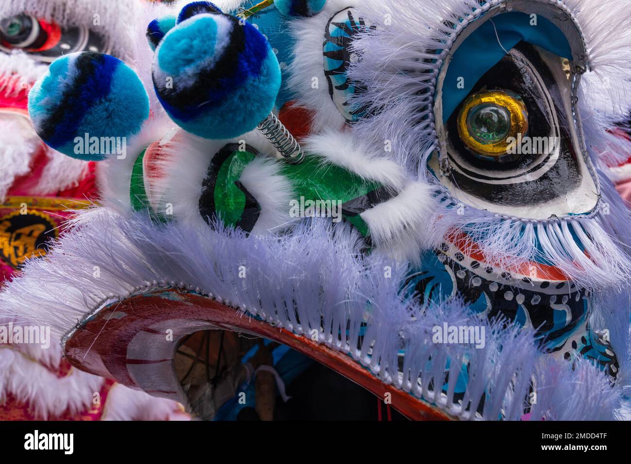 Atmosphere during Lunar New Year of Rabbit celebration in New York's ...