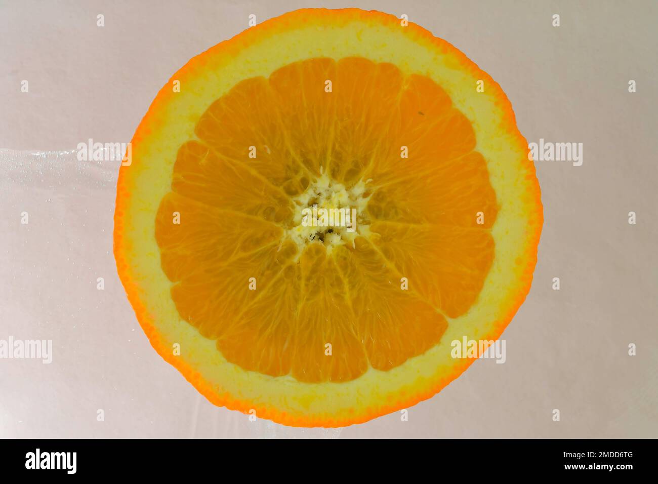 Orange fruit slice floating in club soda. Fresh orange slice with ...