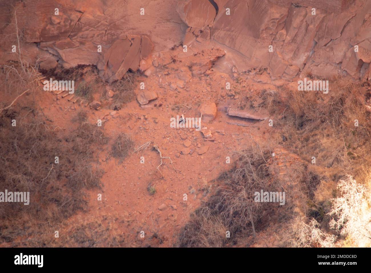 Navajo National Monument preserves ancient cliff dwelling structures of ...