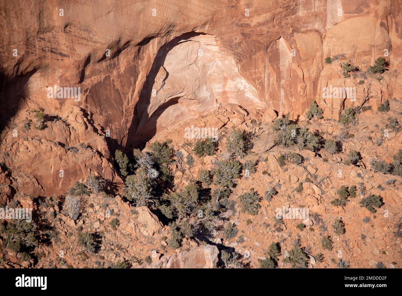 Navajo National Monument preserves ancient cliff dwelling structures of ...