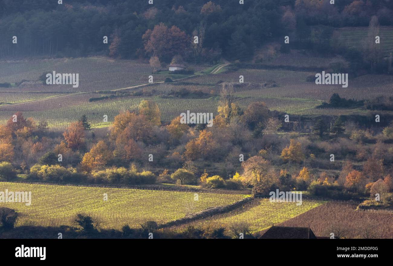Farm Lands on top of a hill in countryside. France, Europe Stock Photo ...