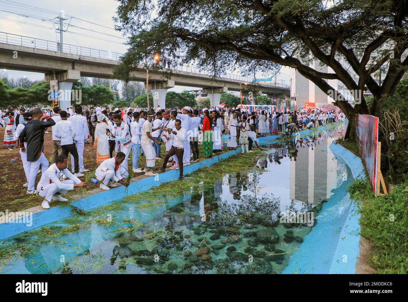 Oromos throw grass and flowers into a pool of water as they celebrate ...