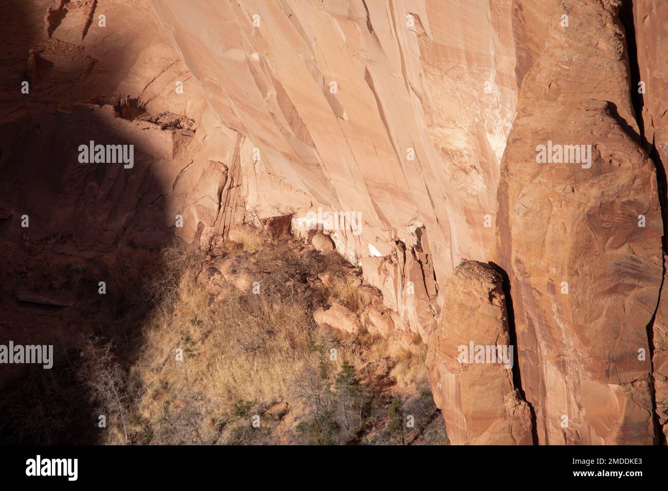 Navajo National Monument preserves ancient cliff dwelling structures of ...