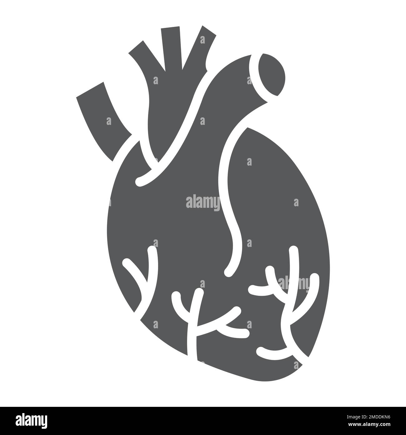 Human heart glyph icon, anatomy and biology, Cardiology sign, vector ...