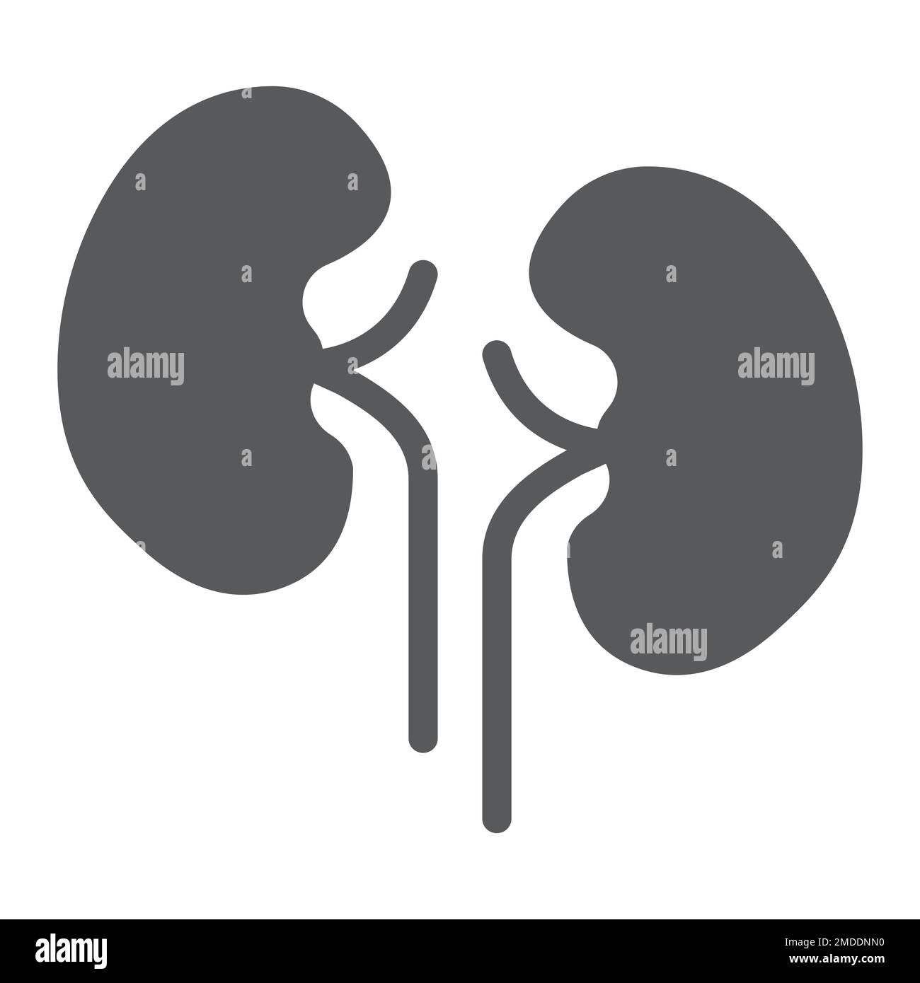 Kidney glyph icon, anatomy and biology, urology sign, vector graphics ...