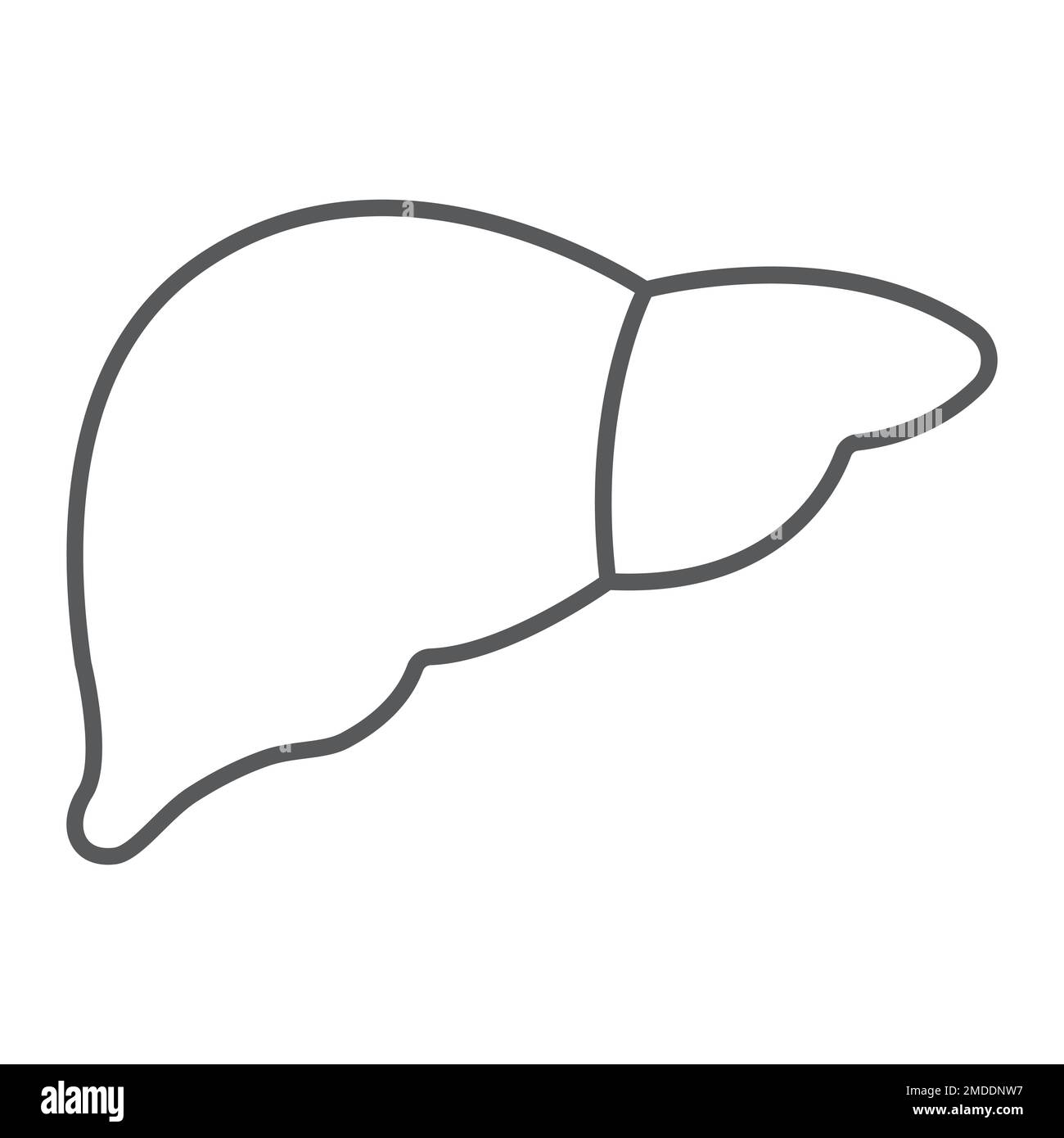 Liver Coloring Page