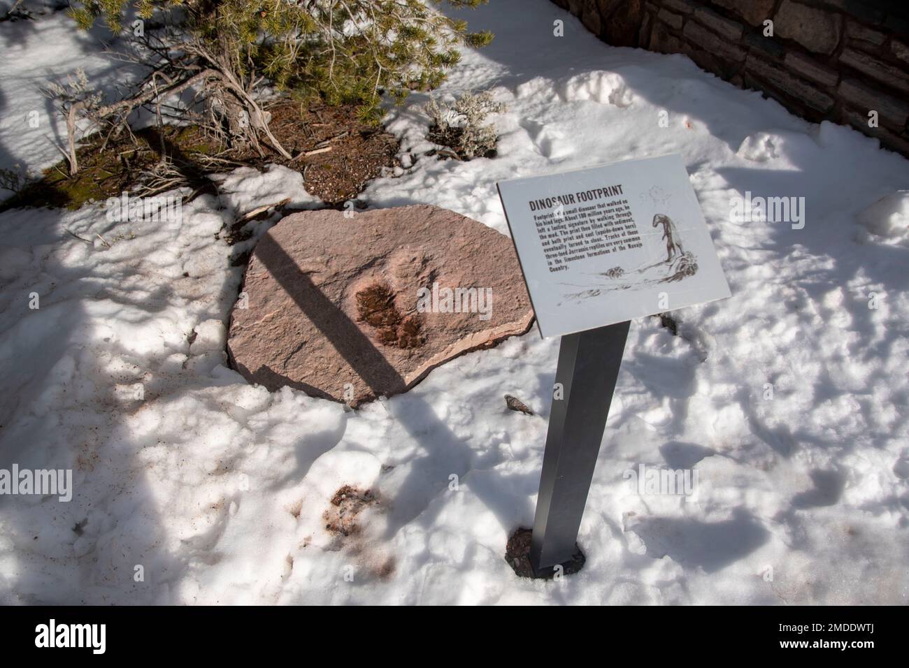 Navajo National Monument preserves ancient cliff dwelling structures of ...