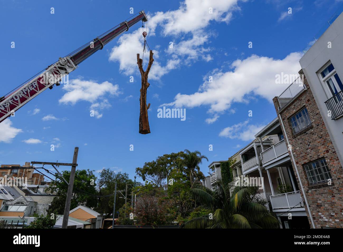 The trunk of a dead gum tree is lifted by a crane into a laneway in a ...