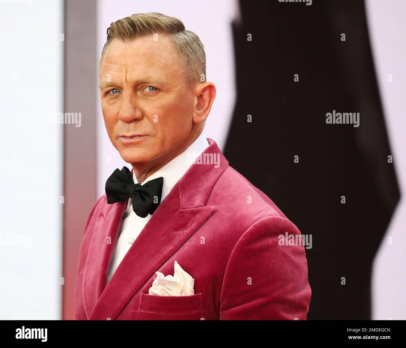 Daniel Craig poses for photographers upon arrival for the World ...