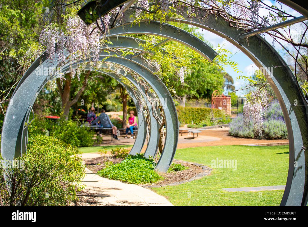 Japanese Sensory Garden