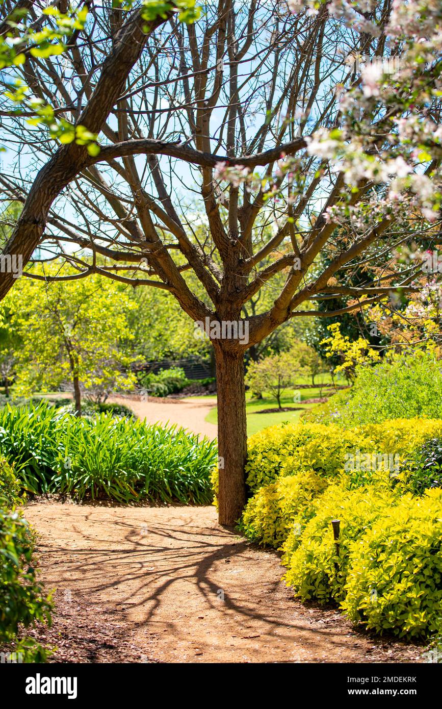 Japanese Sensory Garden