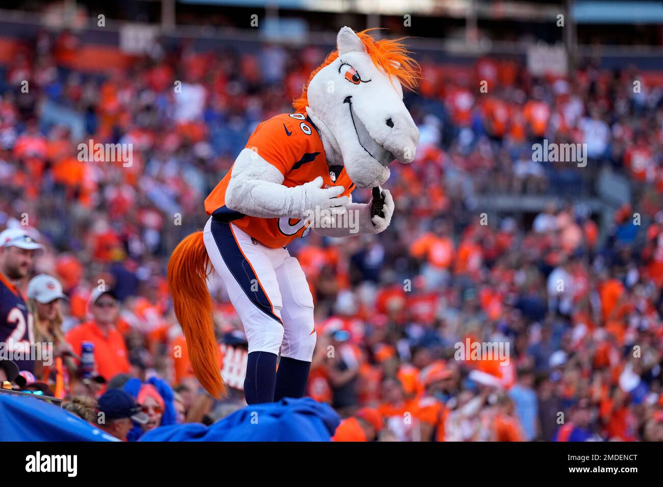 Miles the mascot for the Denver Broncos looks on against the New York ...
