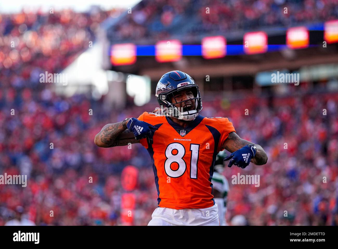 Denver Broncos wide receiver Tim Patrick (81) celebrates a catch ...
