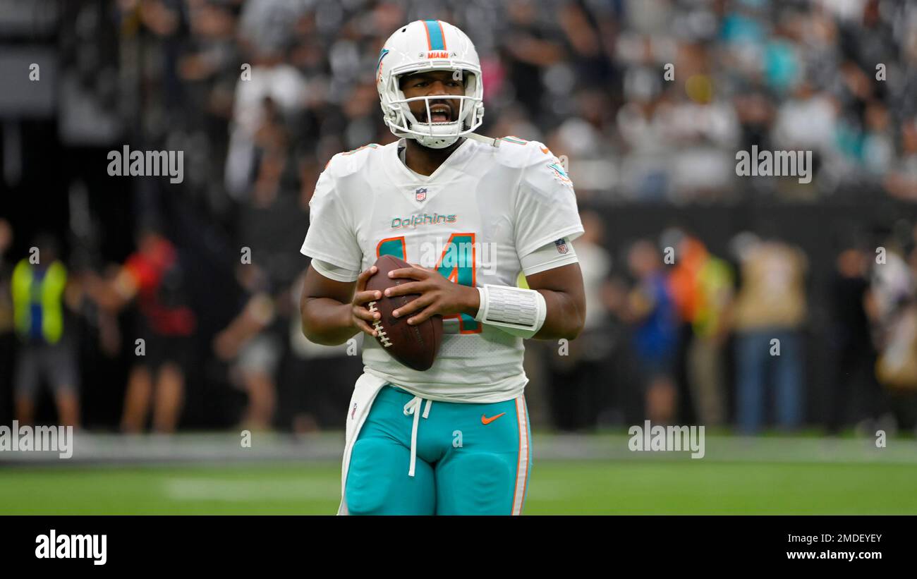Miami Dolphins quarterback Jacoby Brissett (14) warms up before an NFL ...