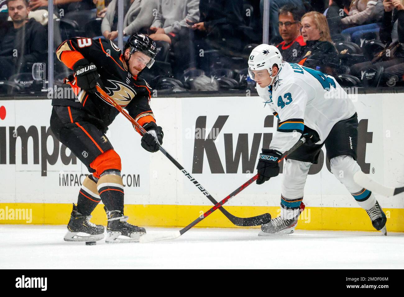 Anaheim Ducks forward Sam Steel (23) and San Jose Sharks forward John ...