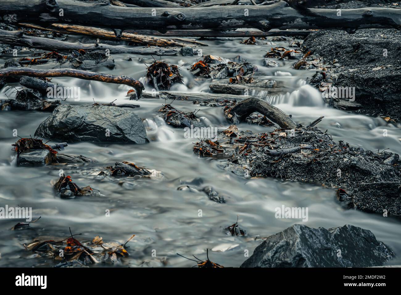 A flowing river surrounded by rocks and woods Stock Photo - Alamy