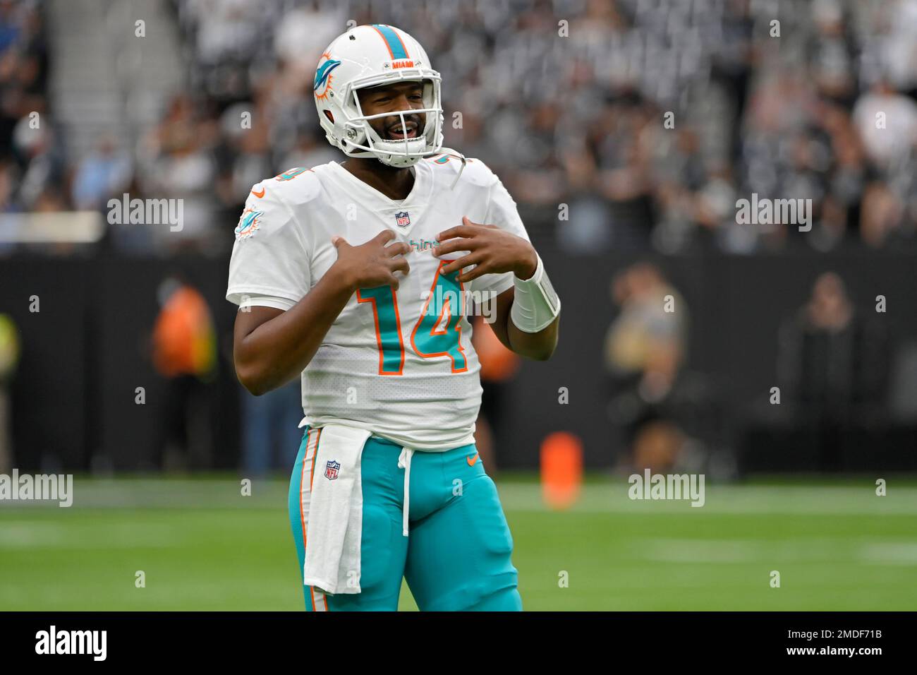 Miami Dolphins quarterback Jacoby Brissett (14) warms up before an NFL ...