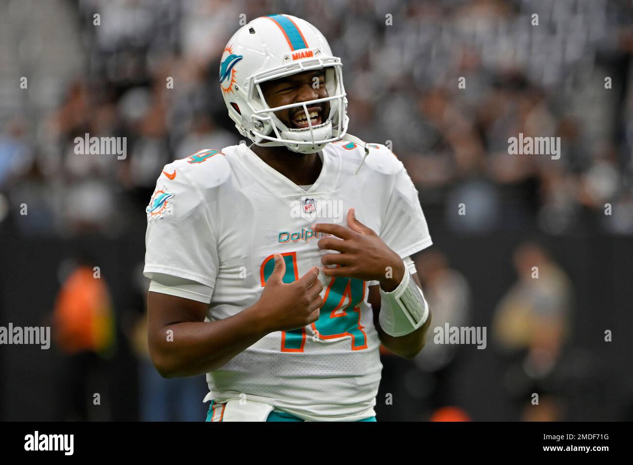 Miami Dolphins quarterback Jacoby Brissett (14) warms up before an NFL ...