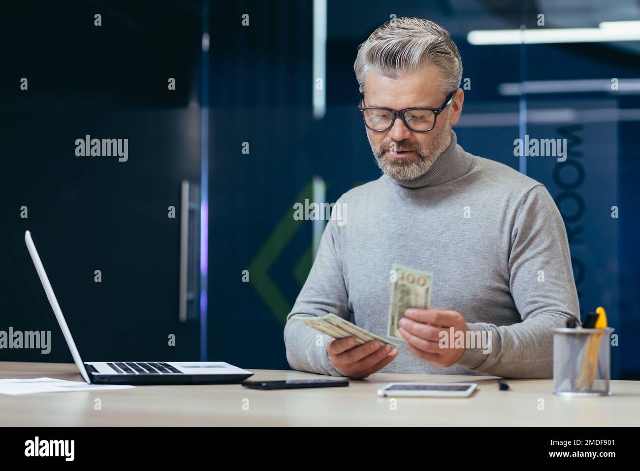 Serious mature investor working inside office, senior gray haired ...